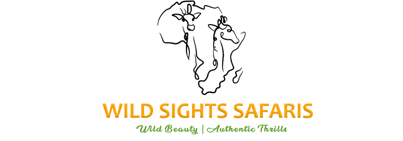 Lolldaiga Hills Conservancy - Wild Sights Safaris