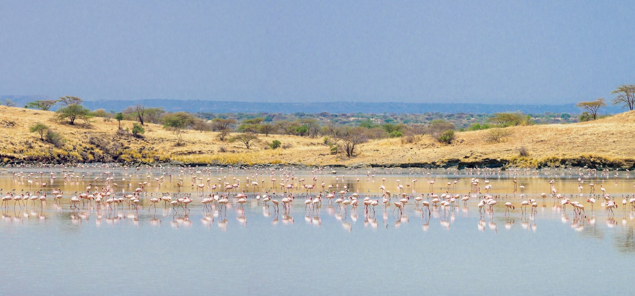 Lake Magadi Kenya - Wild Sights Safaris